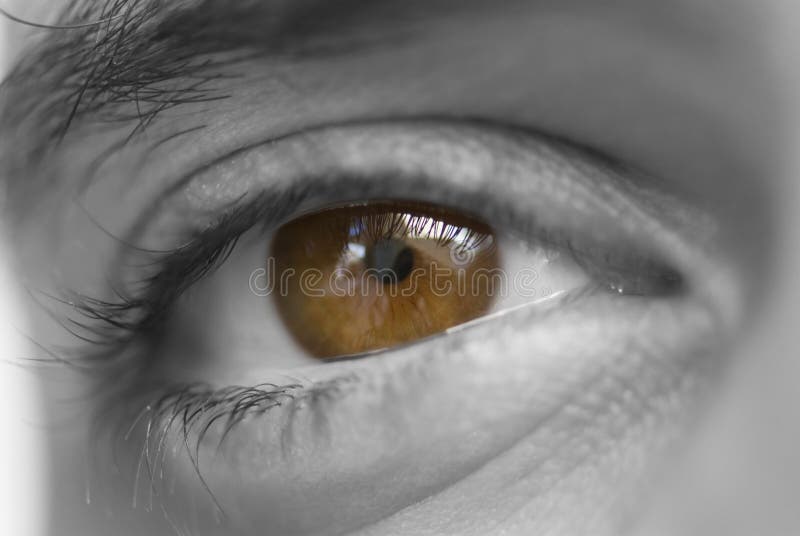 Eye closeup (B&W) stock photo. Image of female, glare - 5545720