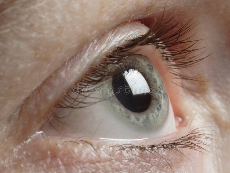 124 Very Sharp Detail Macro Eye Stock Photos - Free & Royalty-Free ...