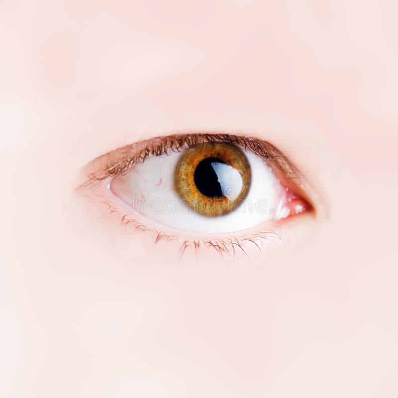 Eye stock photo. Image of lens, human, vision, pupilla - 8834704