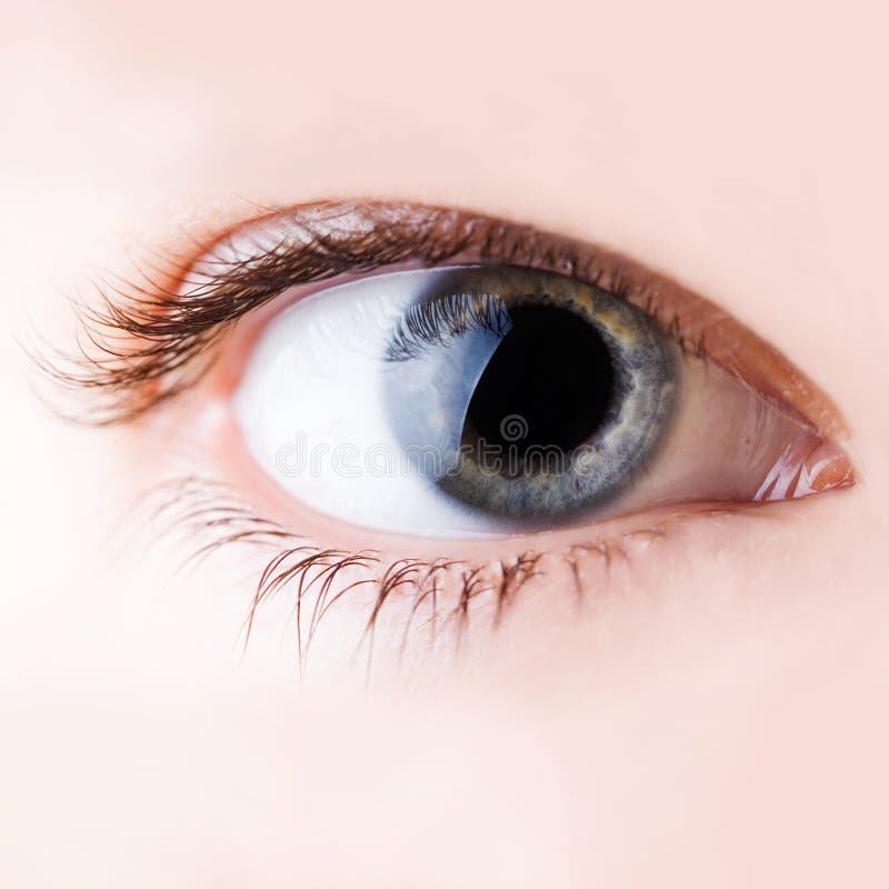 Icy Eye stock photo. Image of white, colors, body, concept - 482236