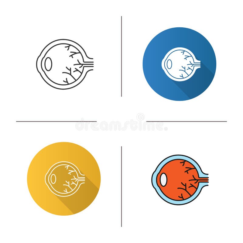 Eye anatomy icon stock vector. Illustration of icon - 197601400
