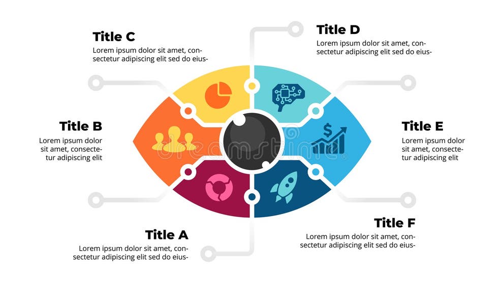 Eye Anatomy Infographic. Circle Chip Diagram with 6 Steps. Artificial ...