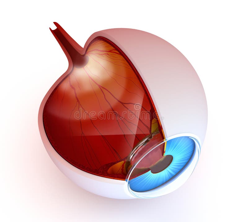 Inner Eye Stock Illustrations – 4,427 Inner Eye Stock Illustrations ...