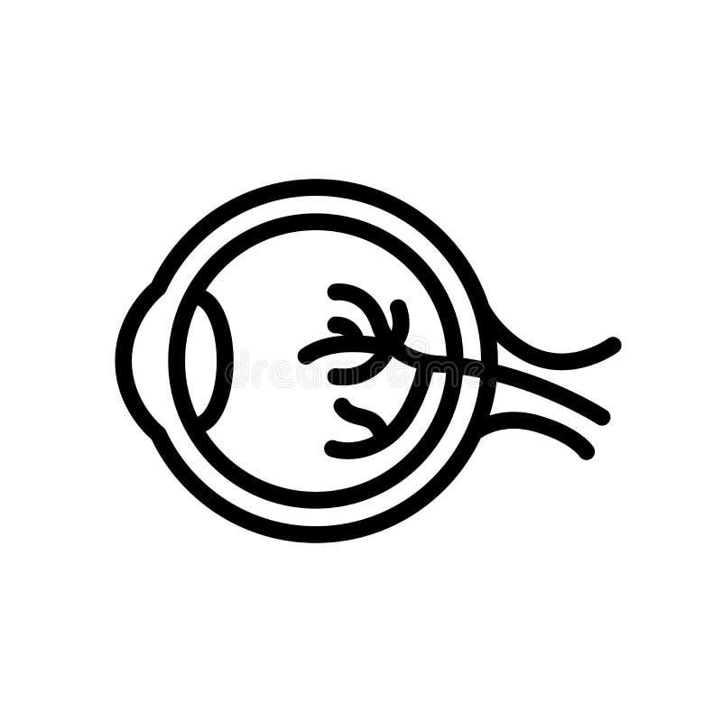 Cornea Anatomy Stock Illustrations – 2,057 Cornea Anatomy Stock ...