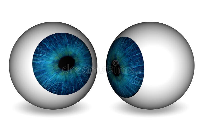 Creepy human eyeball stock illustration. Illustration of blue - 3165564