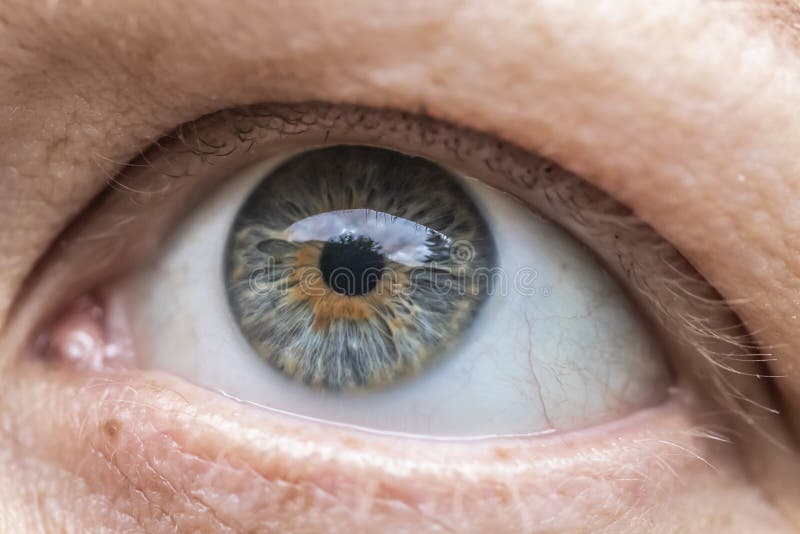 An Eye Ball Close Up stock photo. Image of scary, eyelash - 120377002