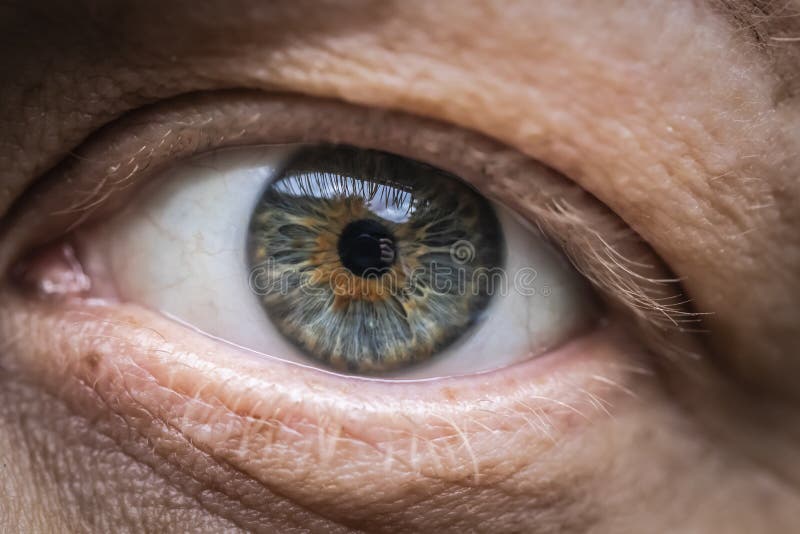 An Eye Ball Close Up stock image. Image of eyes, eyelashes - 120377187