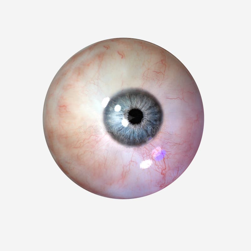 Creepy human eyeball stock illustration. Illustration of blue - 3165564