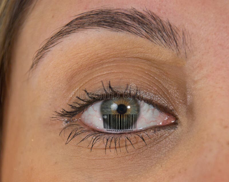 Eye Barcode stock illustration. Illustration of identification - 45799940