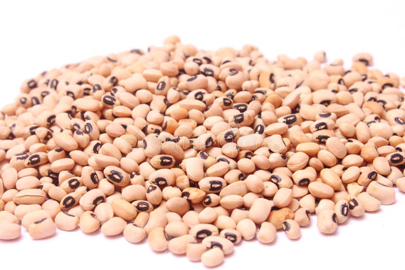 Eye beans stock photo. Image of beans, eyes, vegetable - 35702744