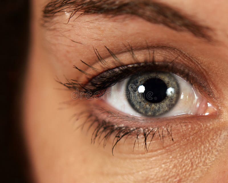 Eye of the beholder stock image. Image of blue, contemple - 1404009