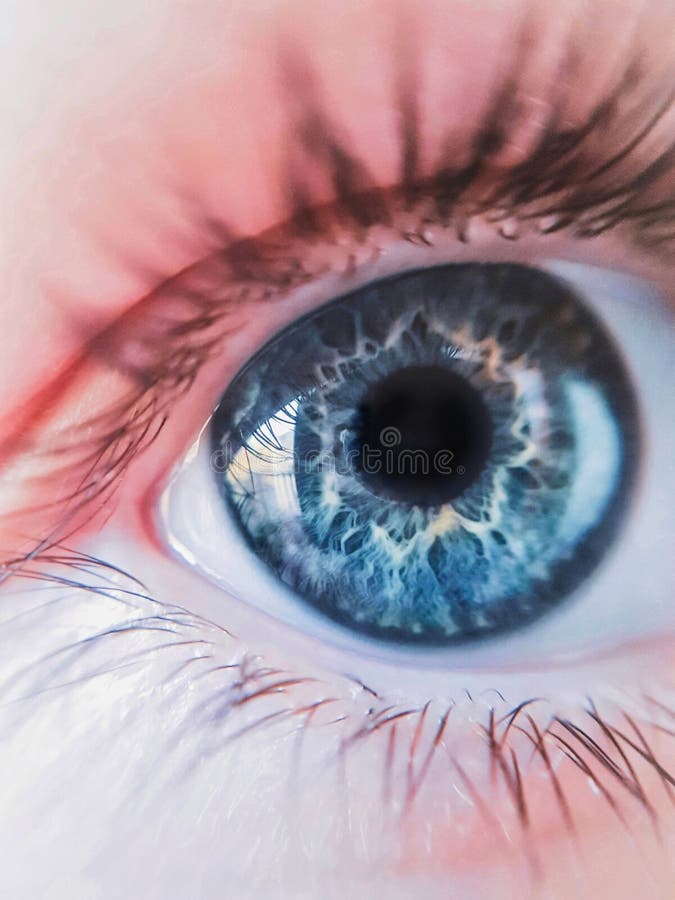 Eye of the beholder. stock photo. Image of vivid, blue - 154411768