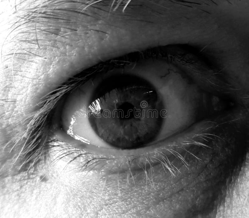 112 Singular Eye Stock Photos - Free & Royalty-Free Stock Photos from ...