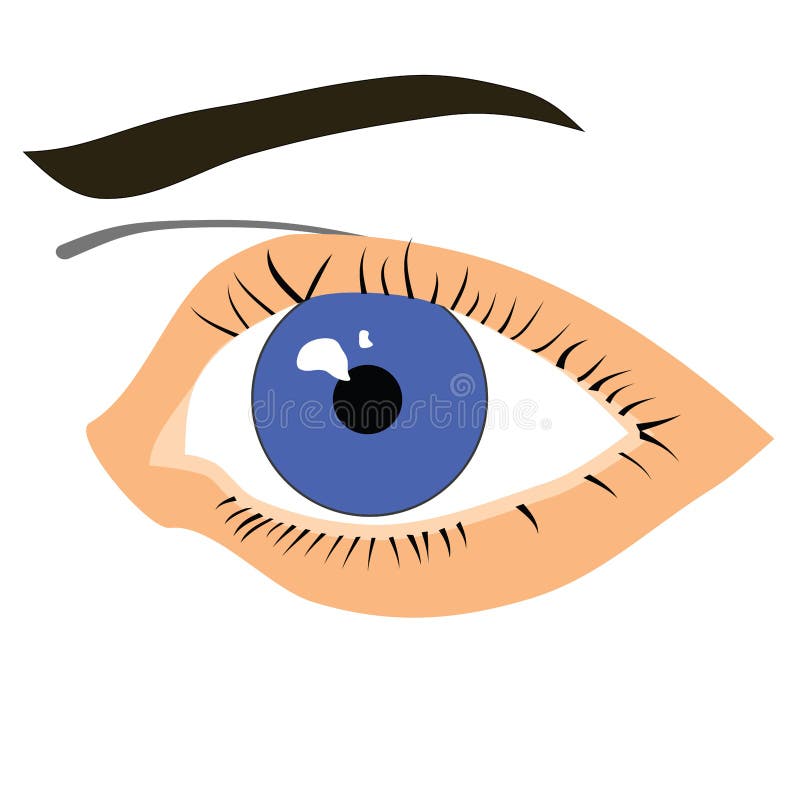Eye with blue pupil #1 stock illustration. Illustration of brow - 41176604