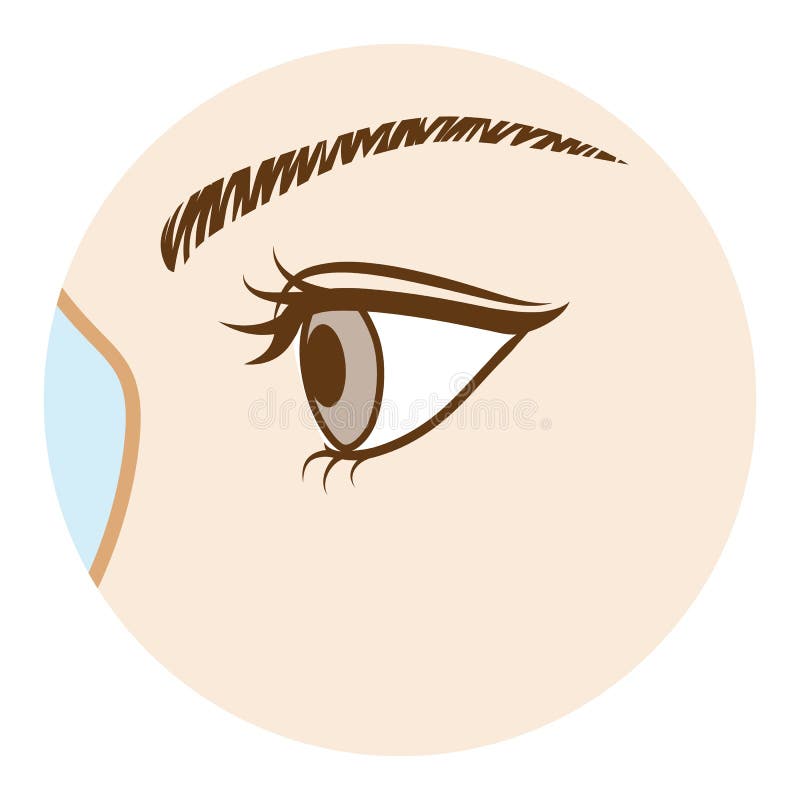 Eye -Body part, Side view stock vector. Illustration of medical - 91297346