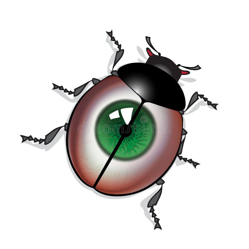 Eye bug stock vector. Illustration of shiny, insect, vector - 48070793