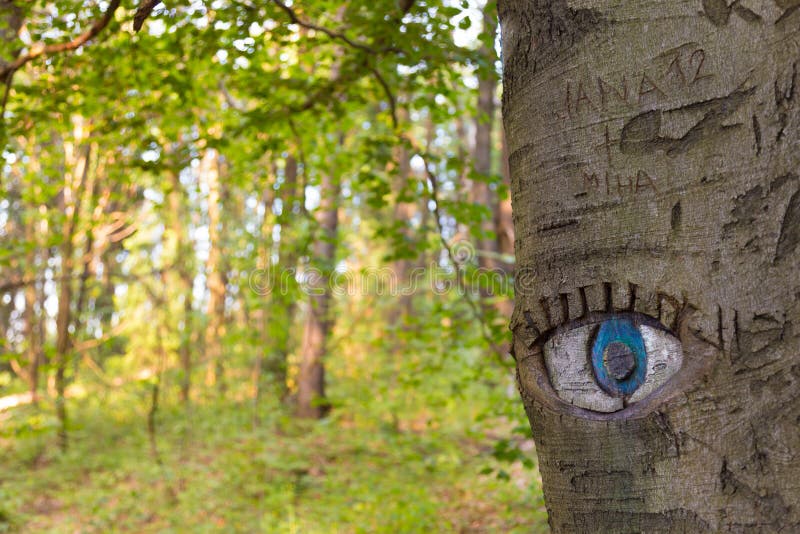 Eye carved in tree trunk. stock image. Image of environmental - 41105849