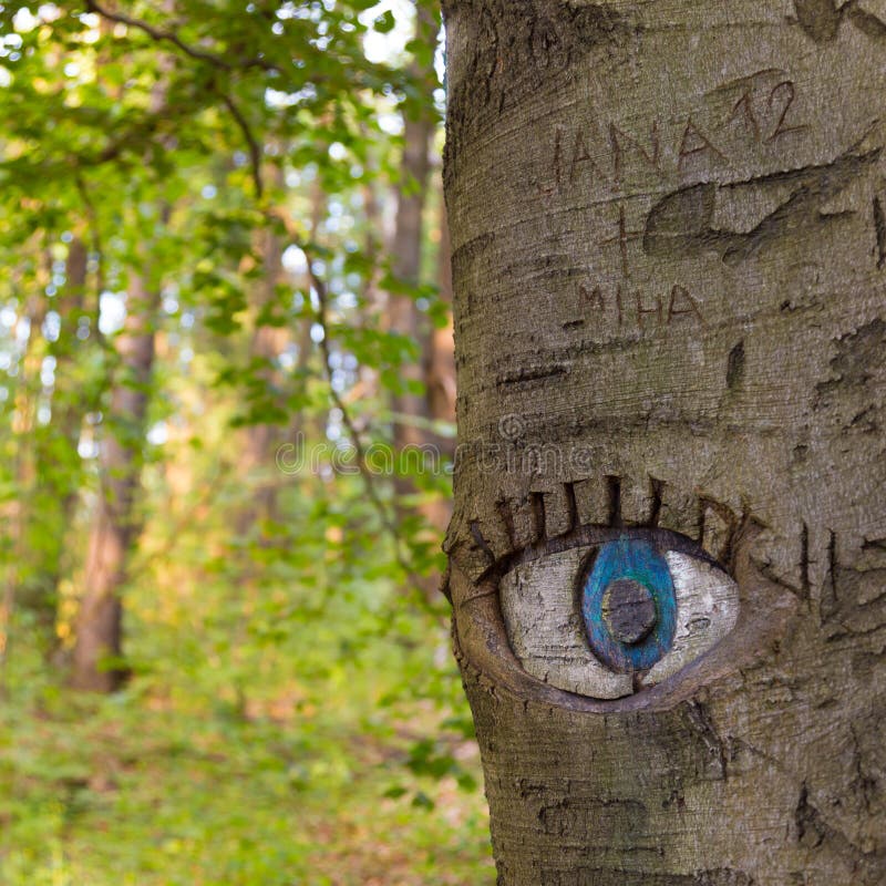 Eye carved in tree trunk. stock photo. Image of harmony - 41105854