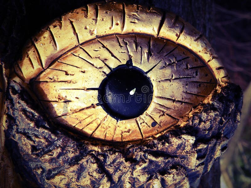 Eye carved from wood stock photo. Image of artistic, shape - 64934198
