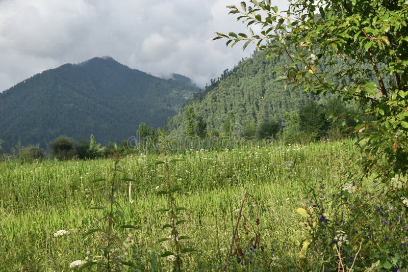 An Eye Catching Beautiful View at Kashmir Valley,India Stock Photo ...