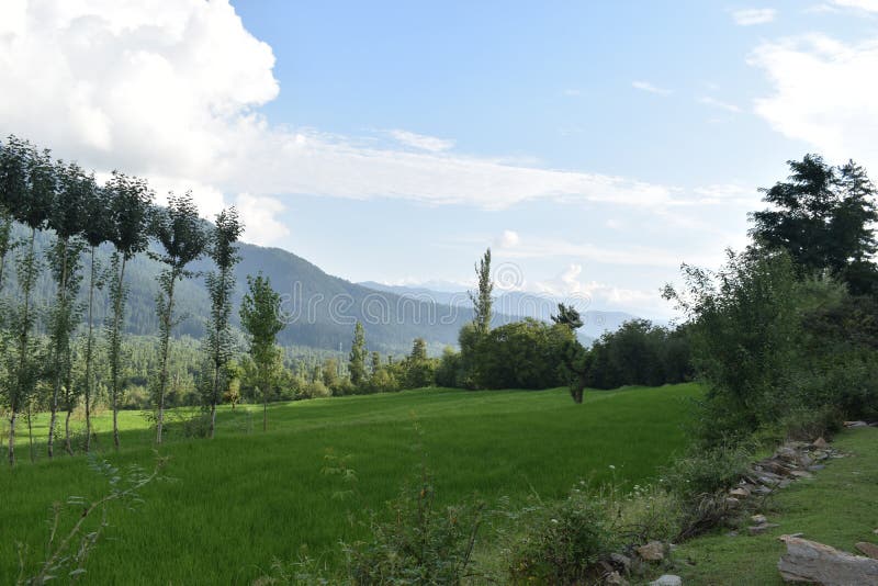 An Eye Catching Beautiful View at Kashmir Valley,India Stock Photo ...