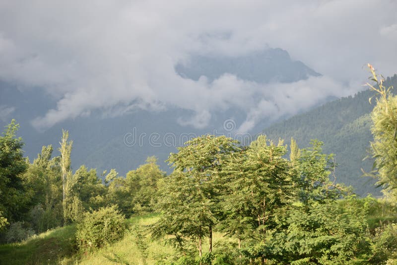 An Eye Catching Beautiful View at Kashmir Valley,India Stock Photo ...