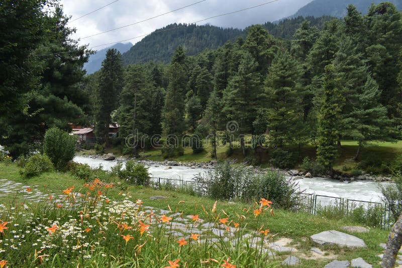 An Eye Catching Beautiful View at Kashmir Valley,India Stock Photo ...