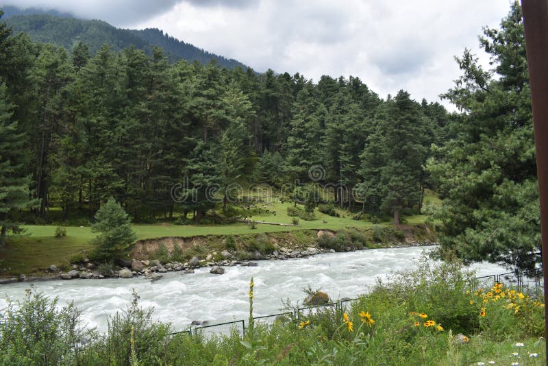 An Eye Catching Beautiful View at Kashmir Valley,India Stock Photo ...