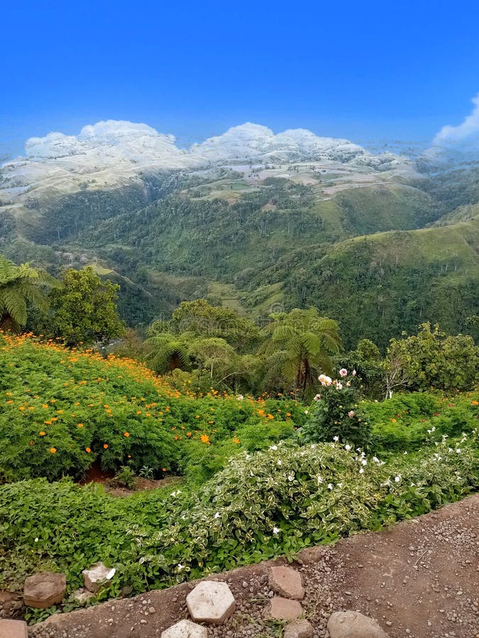Hillside View Of Homes And Streets With Panoramic Sky In Pink And ...