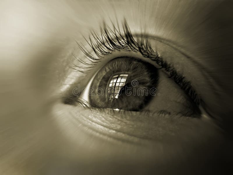 Reflection on window glass stock photo. Image of numerous - 53215522