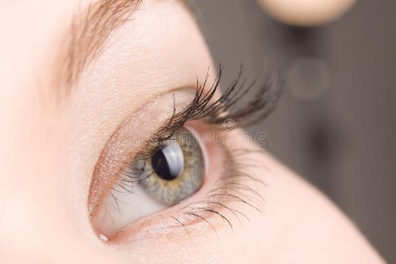 Eye closeup stock image. Image of body, inspect, surveillance - 13237863