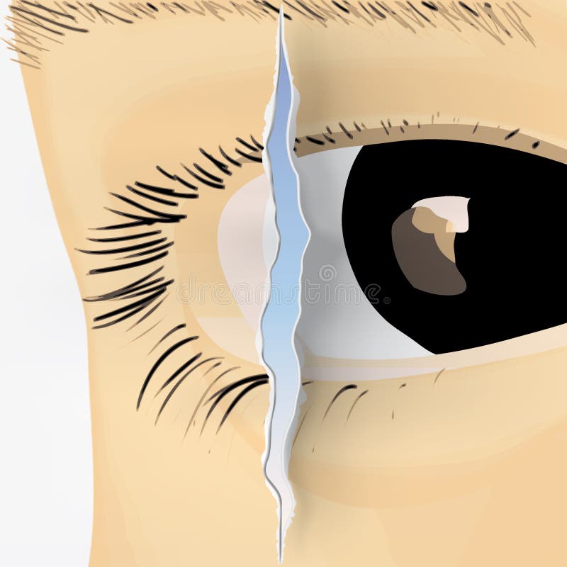Eye crack (vector) stock vector. Illustration of bulb - 10821050