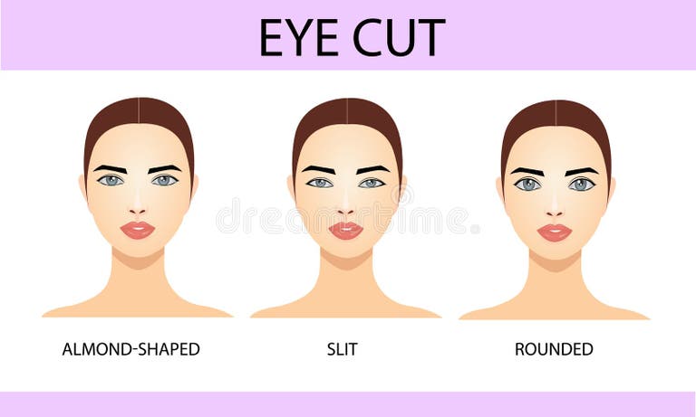 Eye Cut, Information for Eyelash Extension, Infographics, Vector ...