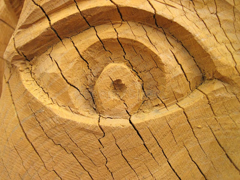 Eye cut from wood stock photo. Image of closeup, artistic - 42697862