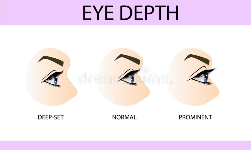 Eye Depth, Information for Eyelash Extension, Infographics, Vector ...