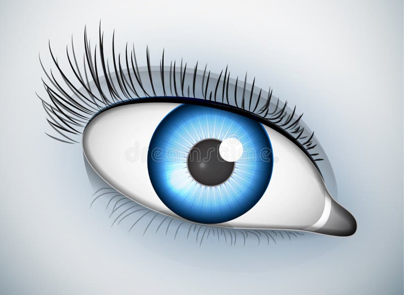 Eye design stock illustration. Illustration of closeup - 26525611