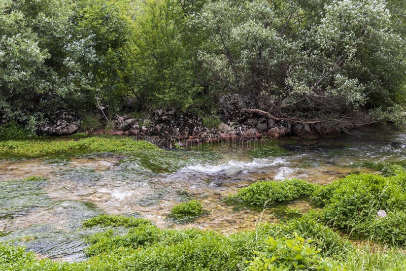 Eye of the Earth, Spring of Cetina River in Croatia. Stock Image ...