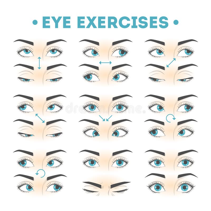 Eye Muscle Training stock vector. Illustration of graphic - 106538988