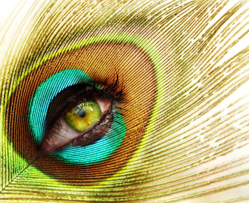 Eye and feather stock photo. Image of woman, ophthalmology - 15222880