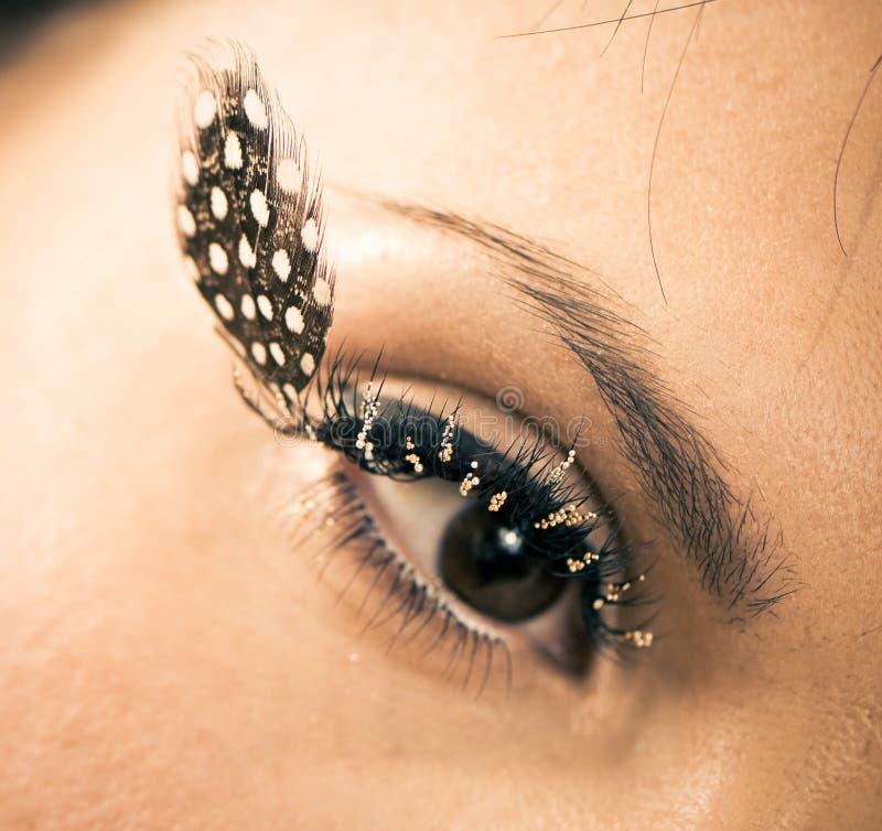Eye with feather stock image. Image of details, beauty - 23128683