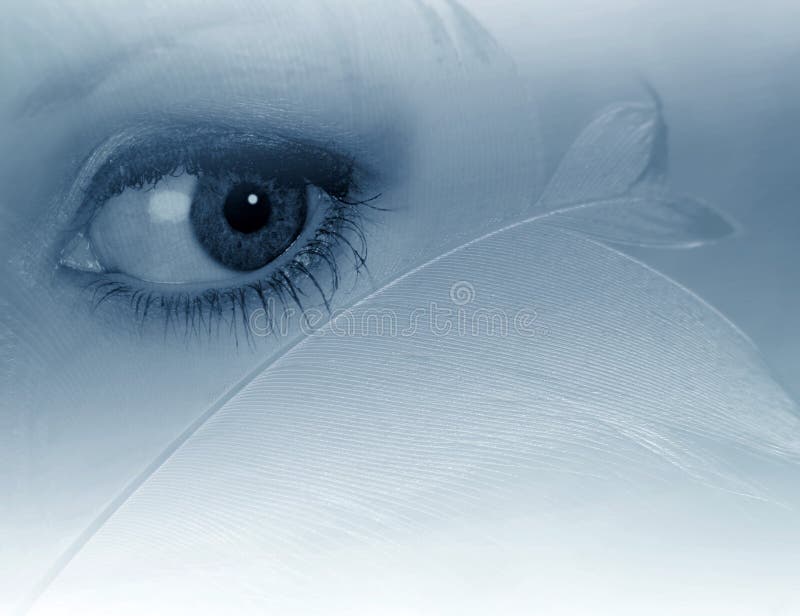 Eye and the feather stock illustration. Illustration of feather - 2608378