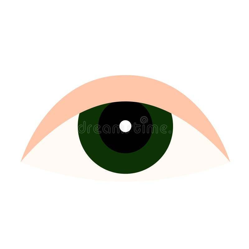 Eye Flat Illustration on White Stock Vector - Illustration of isolated ...