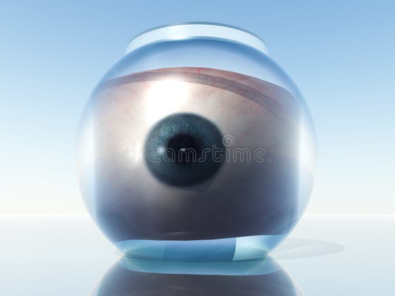 Eye in Goldfish Bowl stock photo. Image of colorful, bowl - 607802