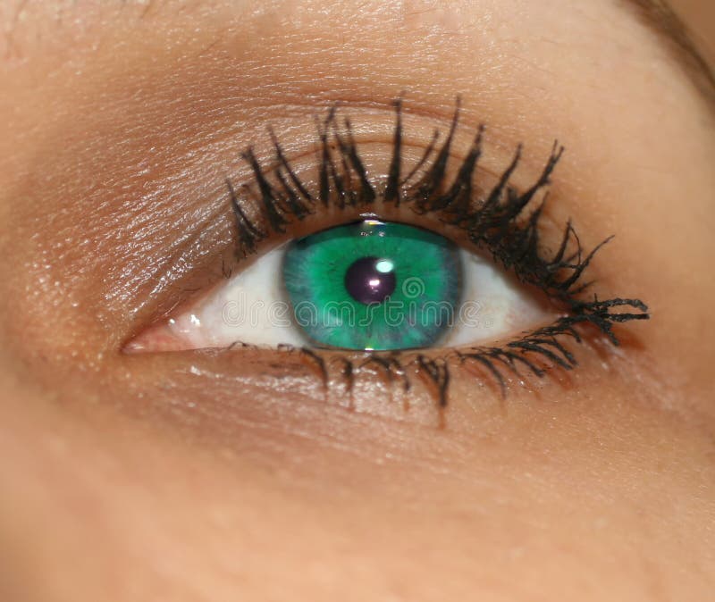 Beautiful Woman Green Eye With Long Lashes Stock Image - Image of long ...