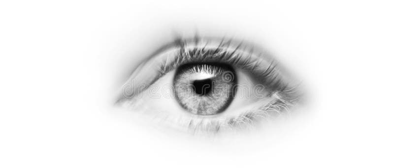 Eye with grey iris stock image. Image of close, macro - 149306671