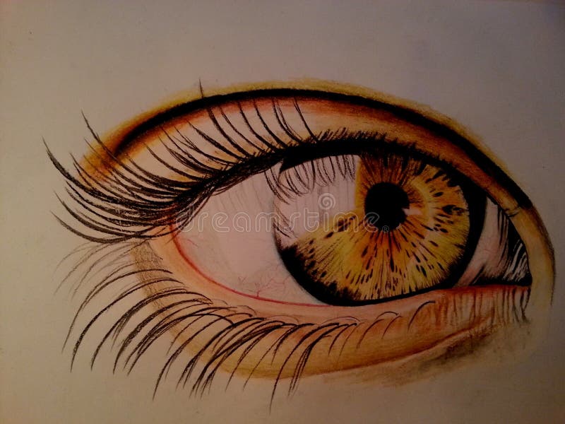 EYE hand draw stock illustration. Illustration of handdraw - 70237827