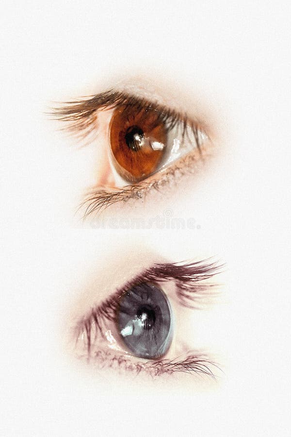 Human Eye Profile Stock Images - Download 1,682 Royalty Free Photos