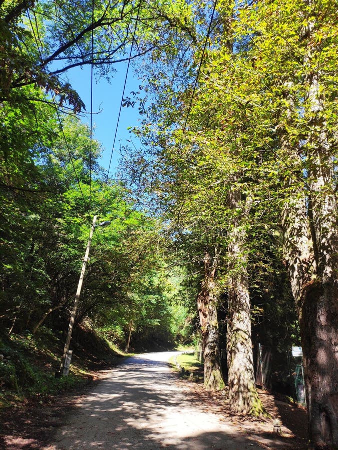 Nature Photos. the Eye of Ilidza and Ilidza Stock Image - Image of colours, bushes: 349167675