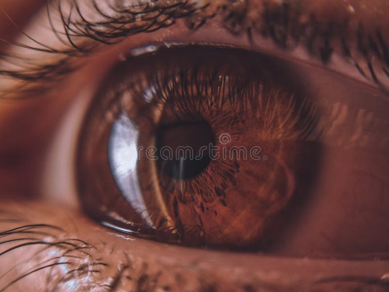 EYE of INFINITY stock photo. Image of eyes, shades, brown - 178586678