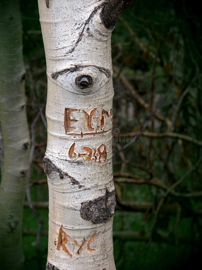 Engraved tree stock image. Image of mark, letters, alhambra - 1314431